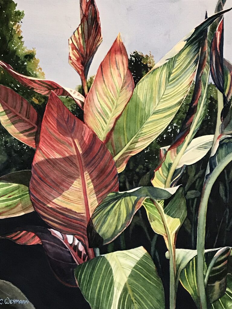 Current Exhibitions at the Clinton Art Society