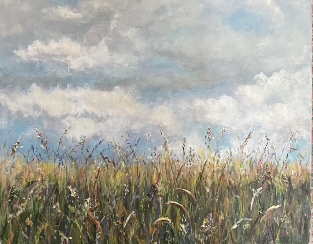 Past Exhibitions - Clinton Art Society