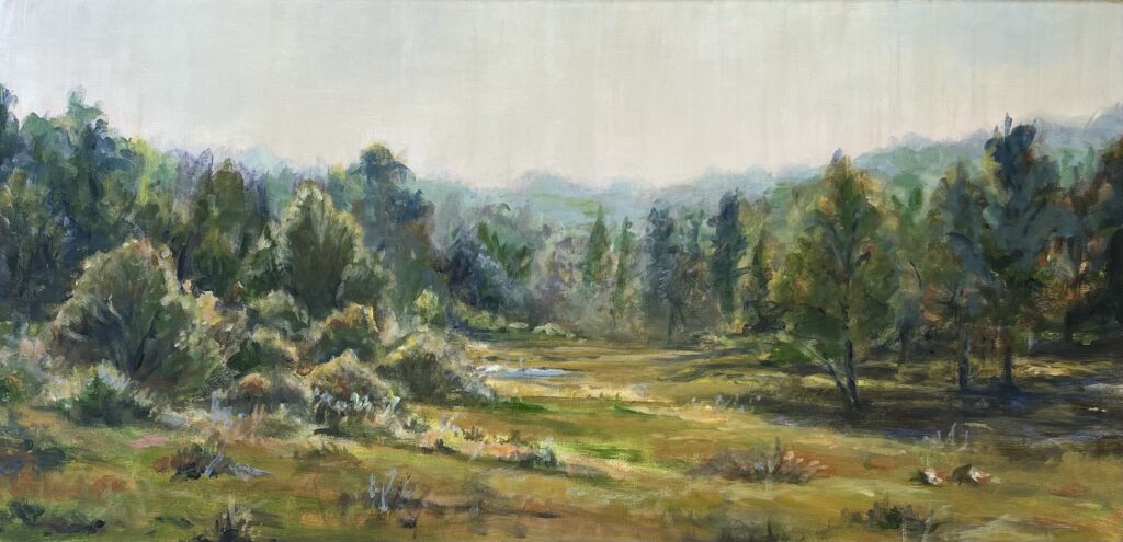 Current Exhibitions at the Clinton Art Society