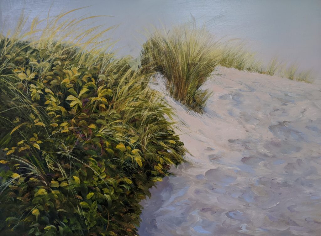 Current Exhibitions at the Clinton Art Society